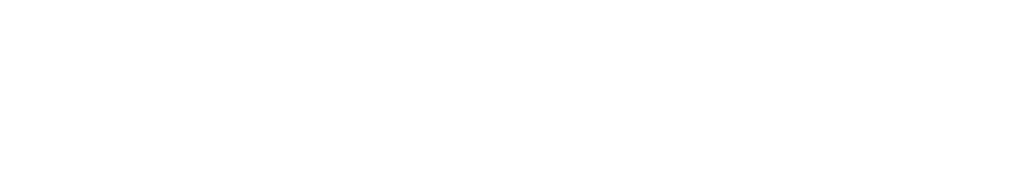 Infinity Flight Group